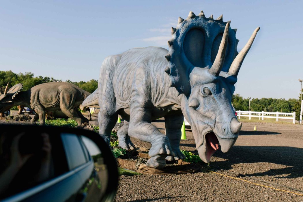 Jurassic Quest Review - Allyn Lewis