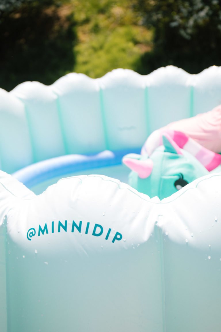 Minnidip Pool Review - Allyn Lewis