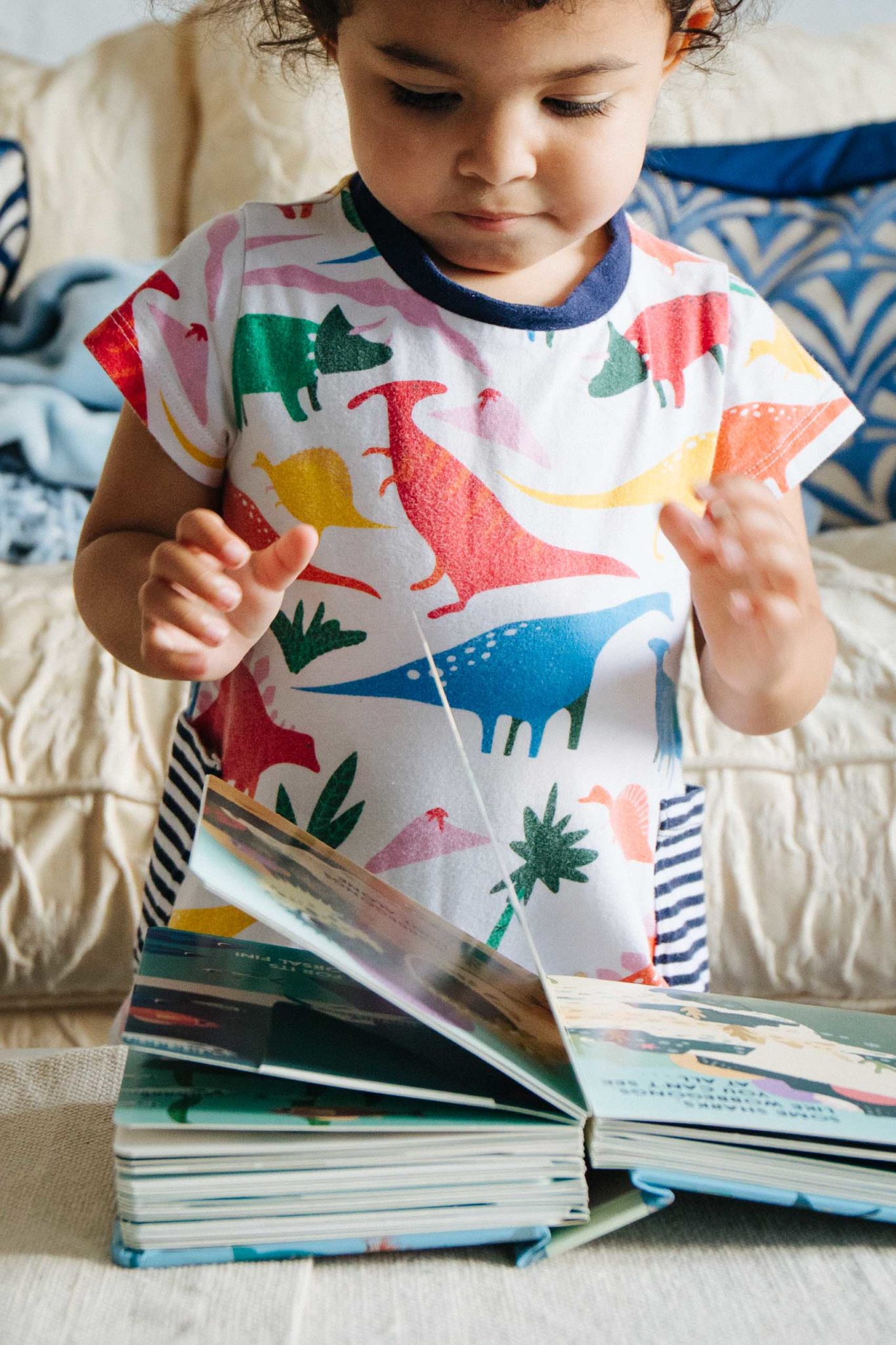 Abrams Block Books for Toddlers - Allyn Lewis